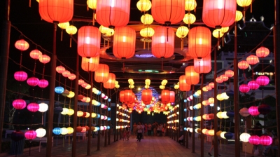 Viet Nam’s longest lantern road in Da Nang sets record - Viet Nam ...