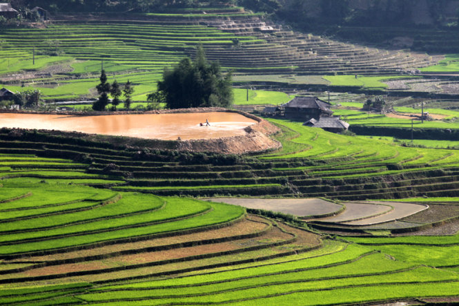 Monsoon tourism of Cao Pha Valley - Viet Nam National Authority of Tourism
