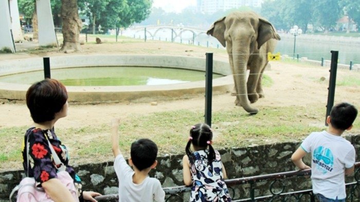 Ha Noi Zoo recognised as tourist site - Viet Nam National Authority of ...