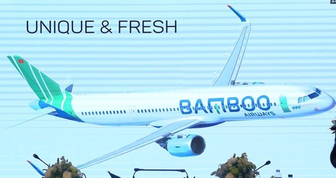 Bamboo Airways given approval for investment - Viet Nam National ...