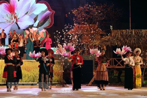 Ban flower festival to feature various activities - Viet Nam National ...