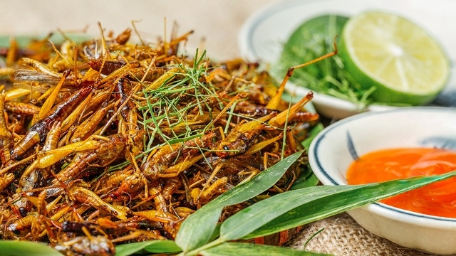 Roasted grasshoppers – delicacy from the rice harvest - Vietnam ...