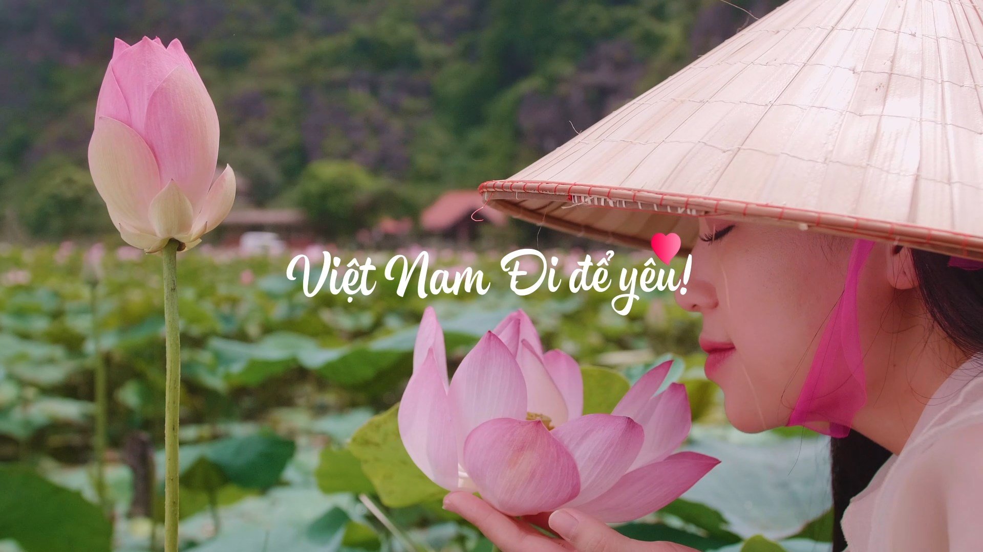 Launching clip “Discover Vietnam – Come to Ninh Binh” responding Visit ...