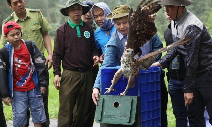 Animal release tour debuts at Cuc Phuong national park - Viet Nam ...