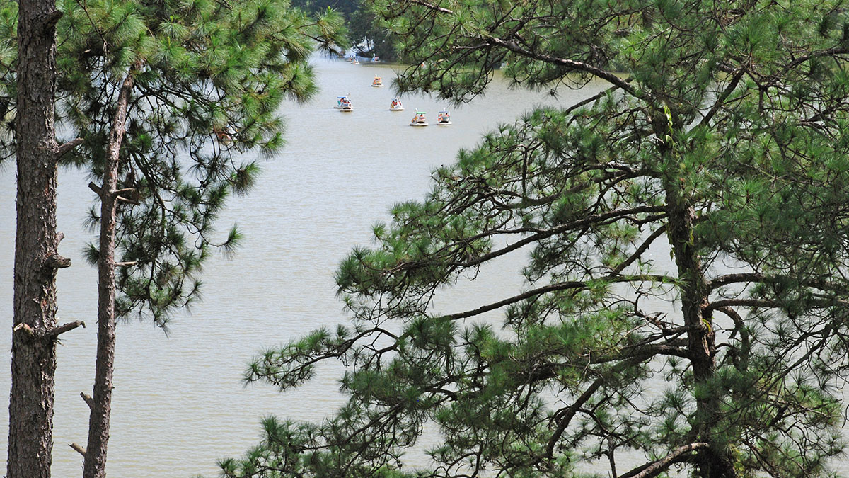 Da Lat in the name of love - Viet Nam National Authority of Tourism