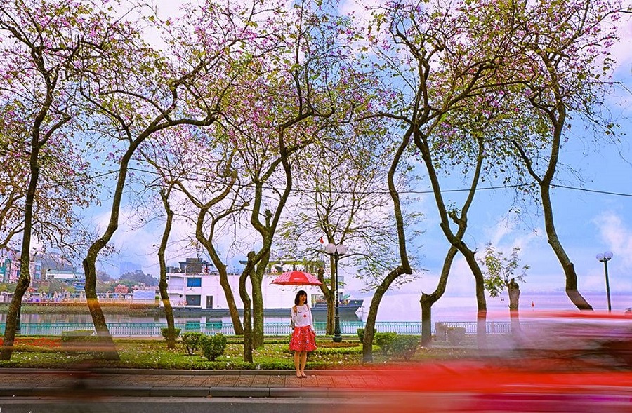 Tales of Hanoi Streets: Thanh Nien- the ancient road connecting two ...