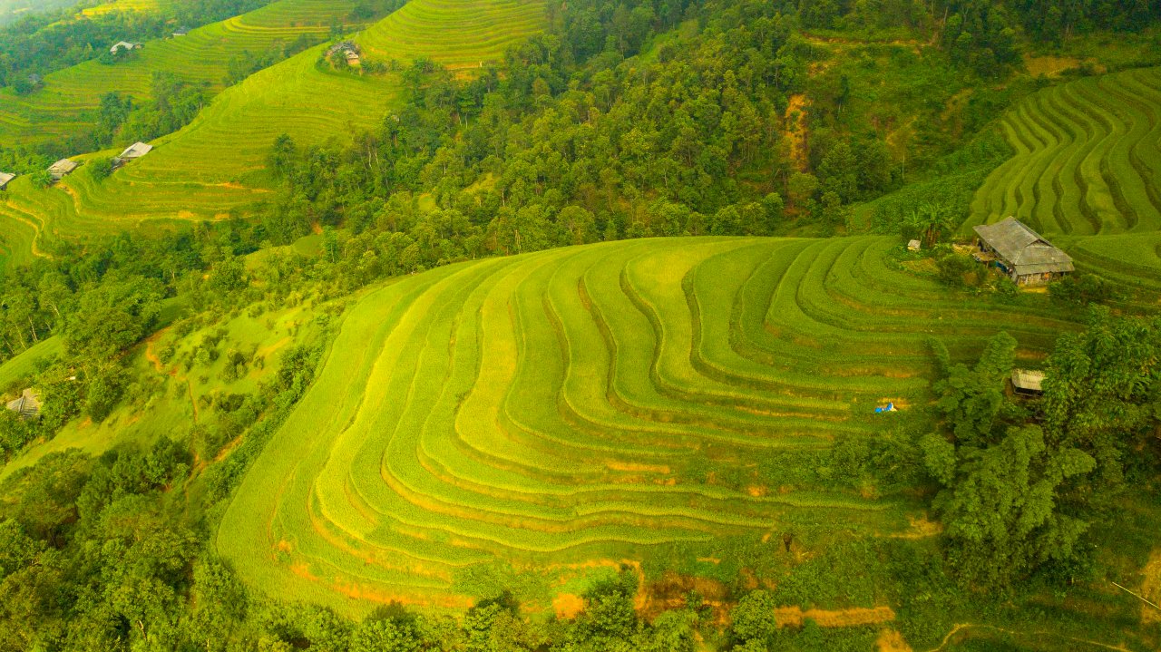 Floating with clouds on terraced rice fields - Viet Nam National ...