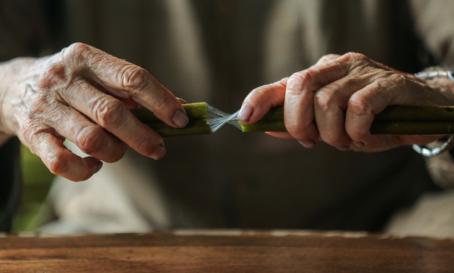 Thuan lifts Vietnamese silk to new level - Viet Nam National Authority ...