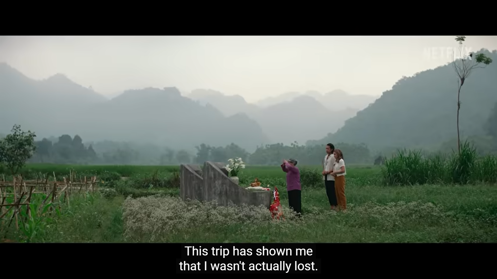 A series of beautiful Vietnamese scenes appear in a new movie from ...