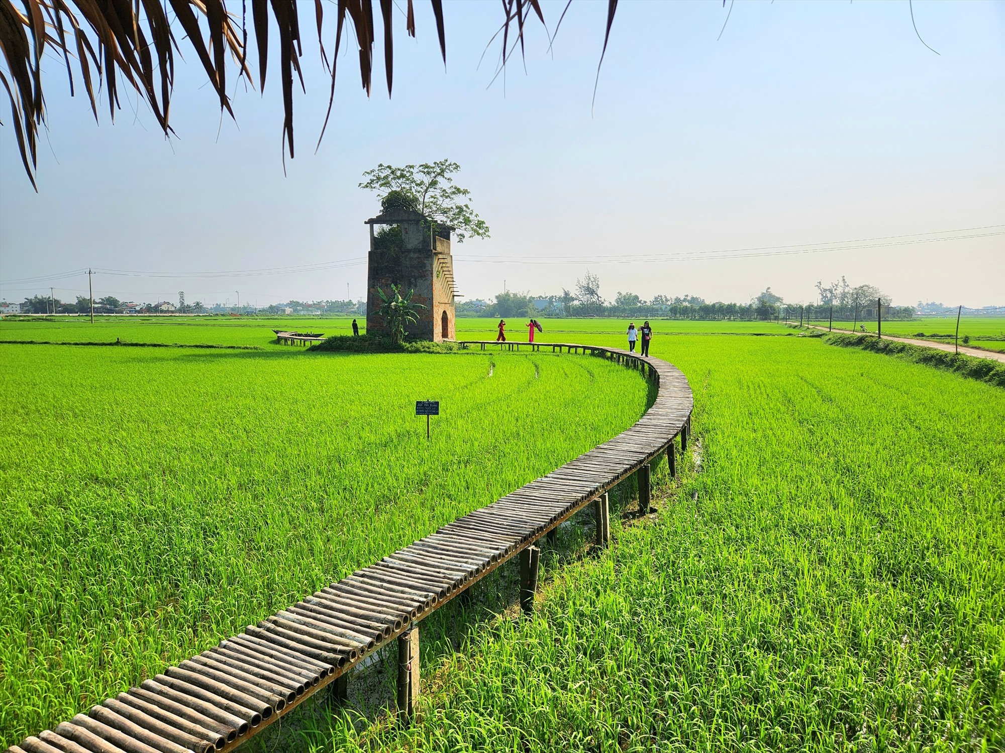 Quang Nam connects rural tourist destinations to create new tourism ...