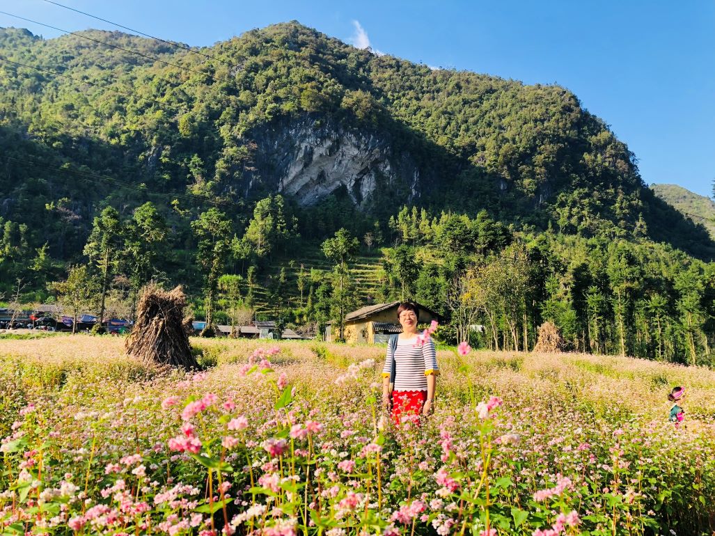 Many special activities to held during the Buckwheat Flower Festival ...