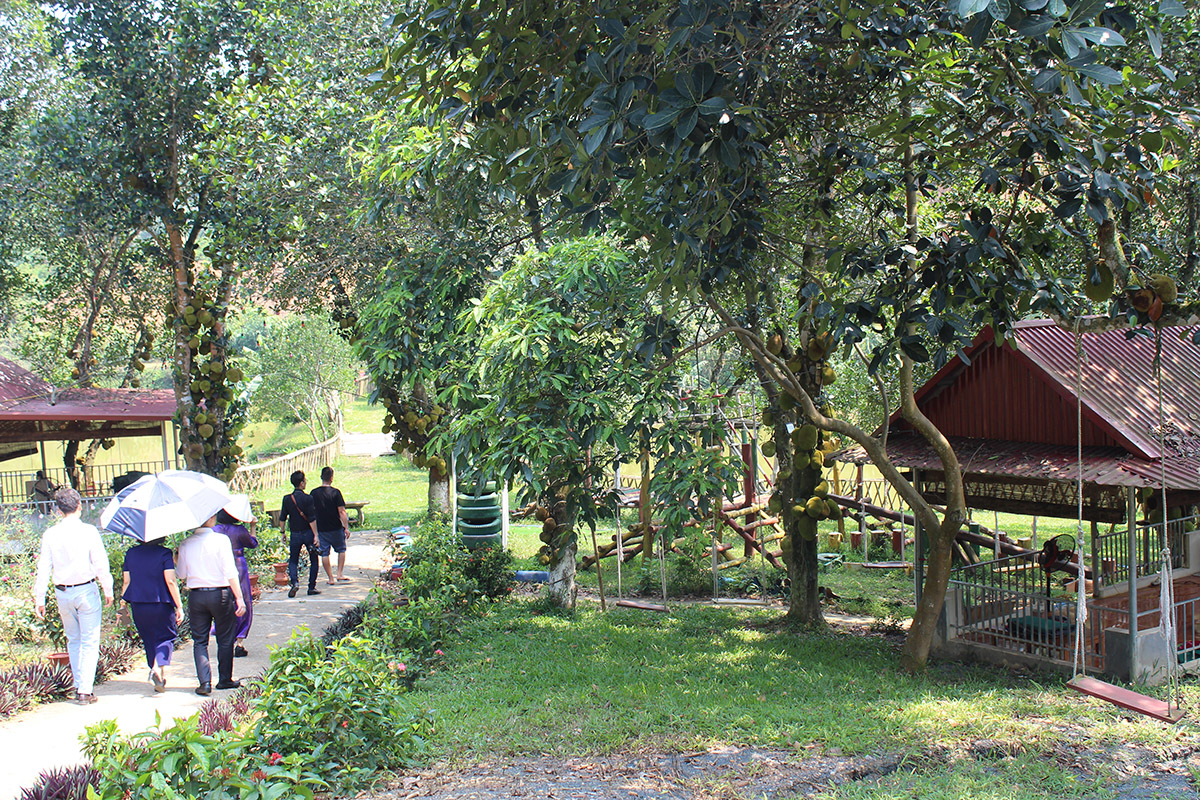 Developing Son Tay Town into an attractive tourist destination of Ha ...