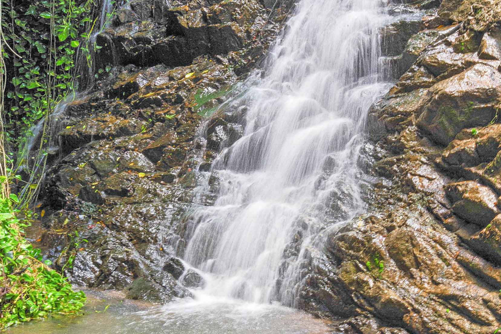 Basking in the longest stream in An Giang - Viet Nam National Authority ...