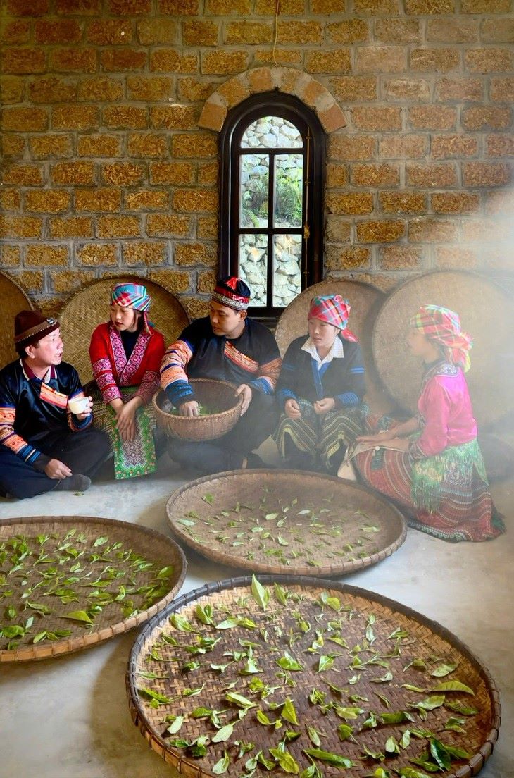 Behind the Brew: Secrets that make Suoi Giang’s Shan Tuyet tea special ...