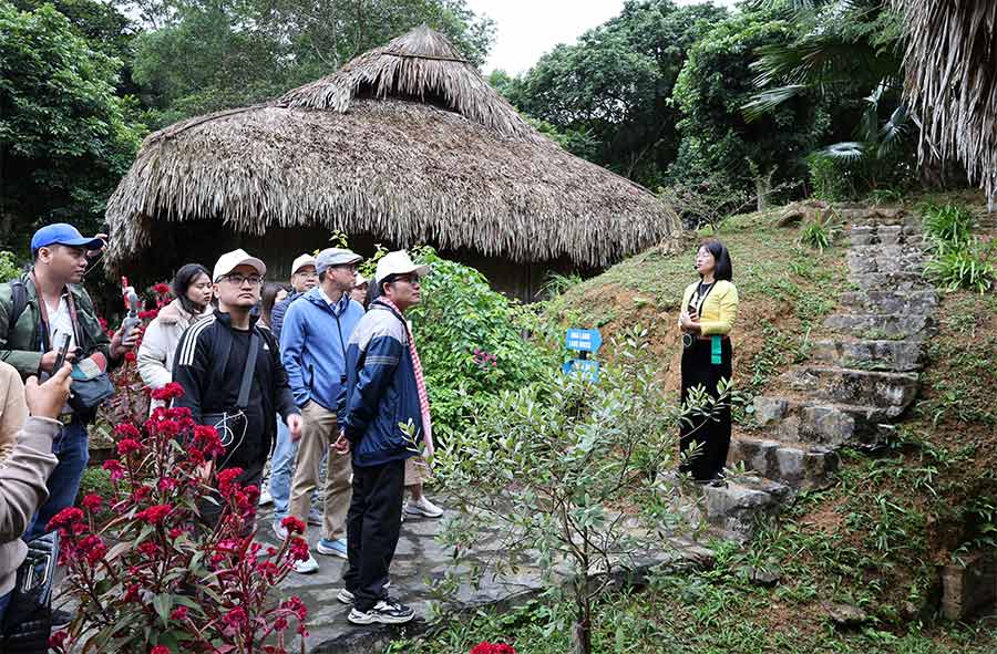 Muong Cultural Space Museum - A special destination of Hoa Binh - Viet ...