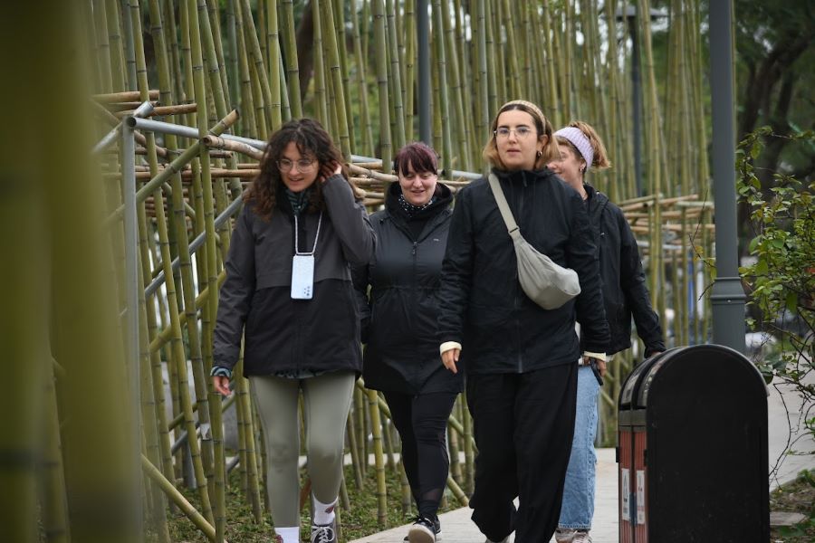 Miniature “bamboo forest” in the heart of Ha Noi - Viet Nam National ...