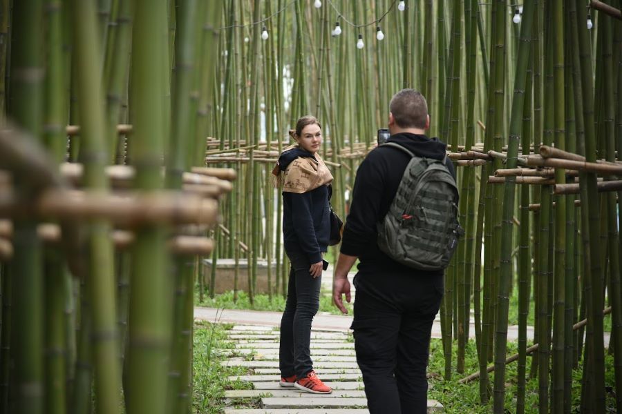 Miniature “bamboo forest” in the heart of Ha Noi - Viet Nam National ...