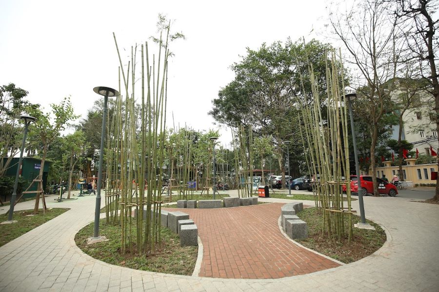 Miniature “bamboo forest” in the heart of Ha Noi - Viet Nam National ...