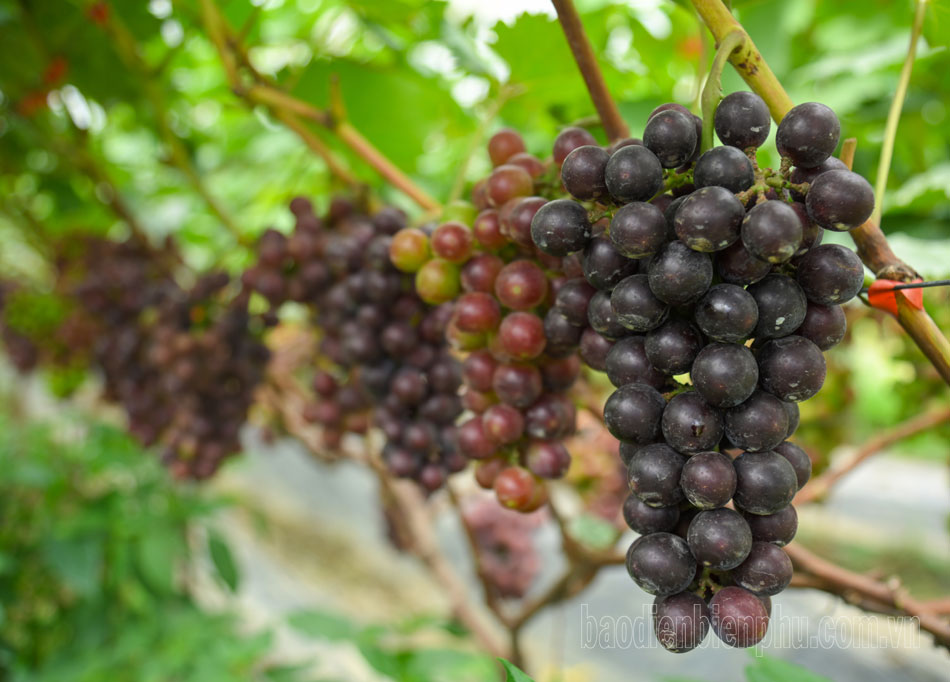 vietnamtourism.gov.vn