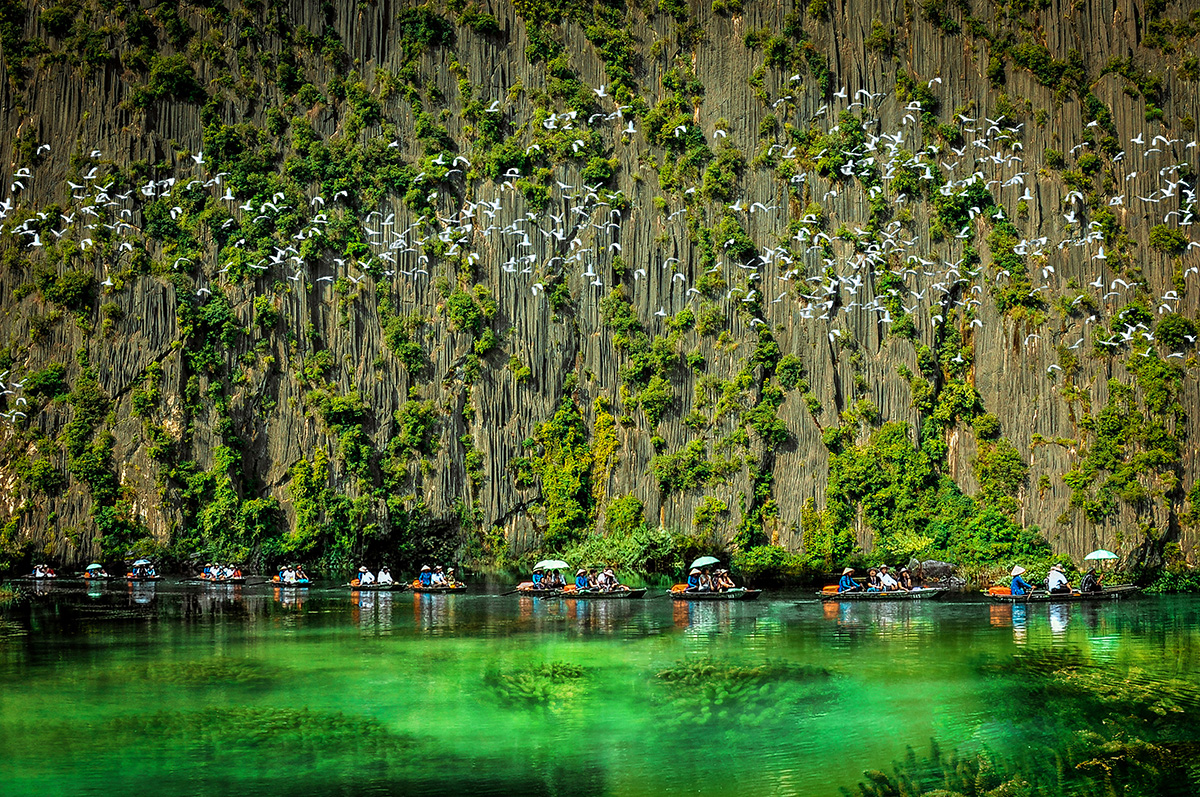 Laura Pullman of The Times: I saw more of Vietnam in a week than in ...