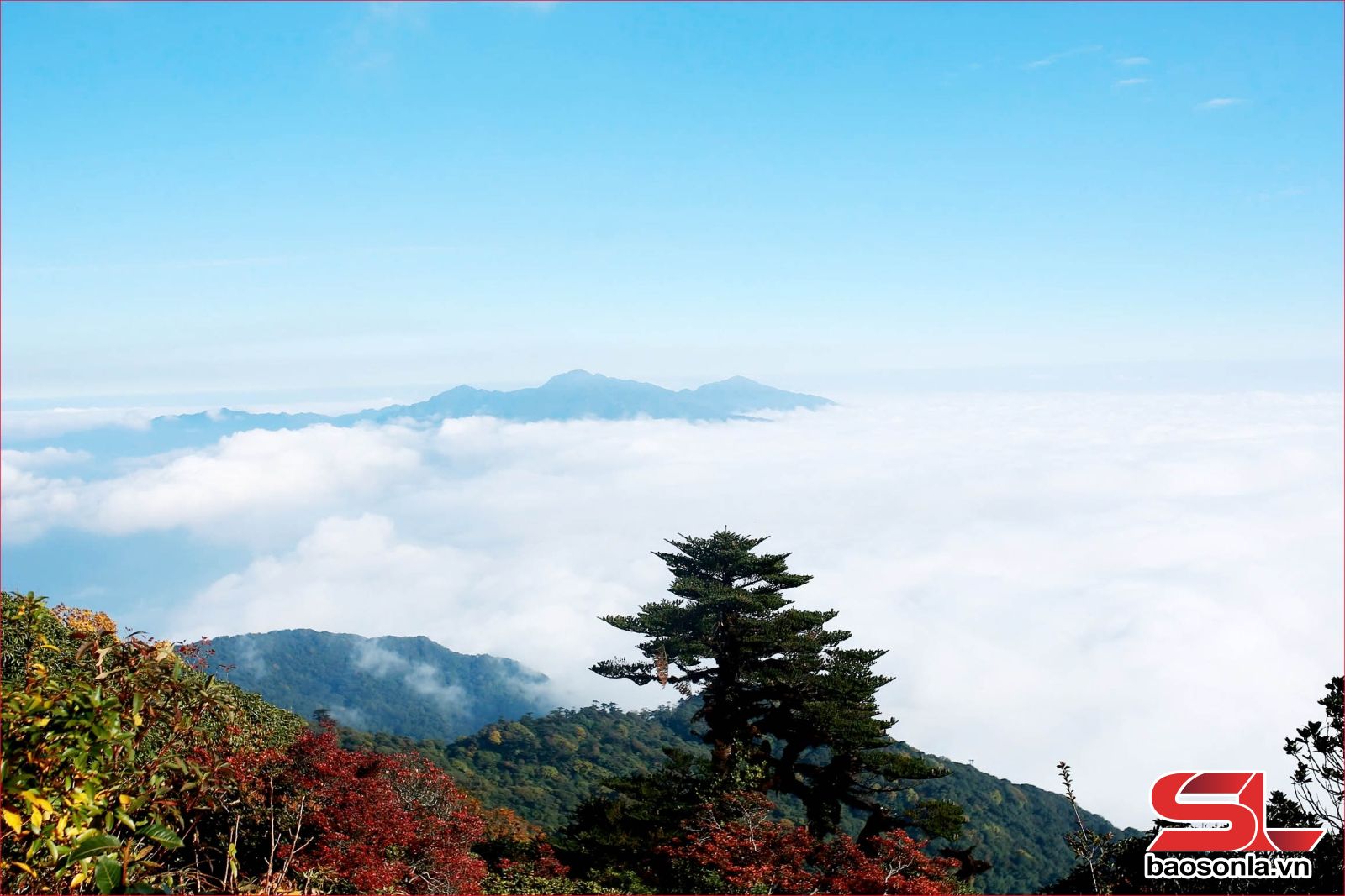 Conquering Phu Sa Phin peak - Viet Nam National Authority of Tourism