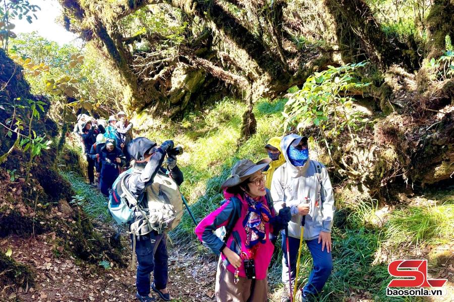 Conquering Phu Sa Phin peak - Viet Nam National Authority of Tourism