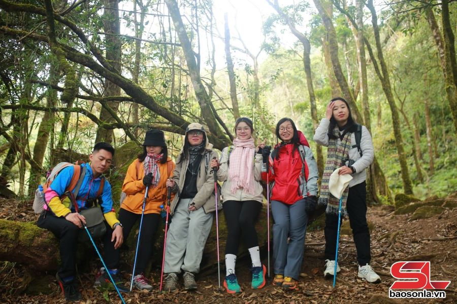 Conquering Phu Sa Phin peak - Viet Nam National Authority of Tourism