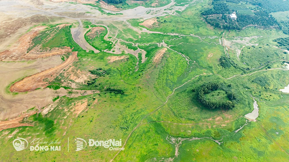 Dong Nai province: Trị An lake transforms verdant grassland during dry ...