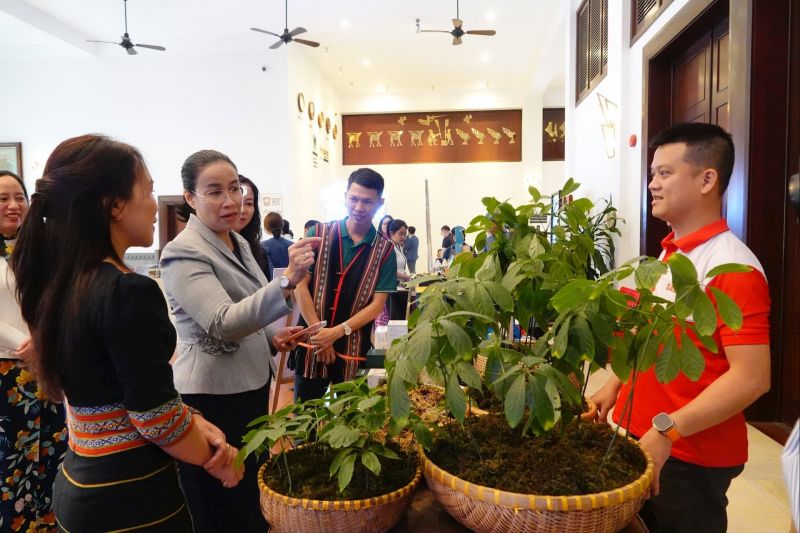 Promoting Da Nang as international travel destination - Viet Nam ...