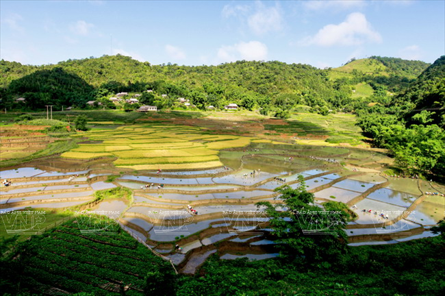 Lung Van- the Roof of the Muong Area - Viet Nam National Authority of ...