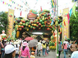 Southern fruit festival brings 50 fruit species - Viet Nam National ...
