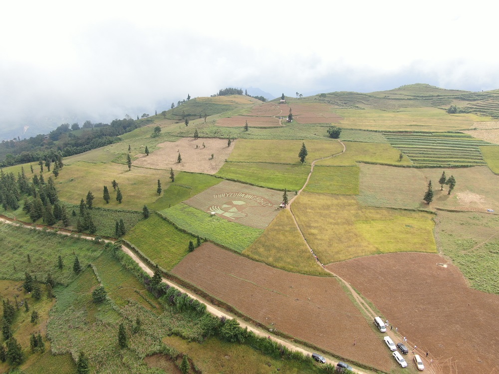 Xín Mần (Hà Giang): Xây dựng Thảo nguyên Suôi Thầu tâm điểm du lịch ...