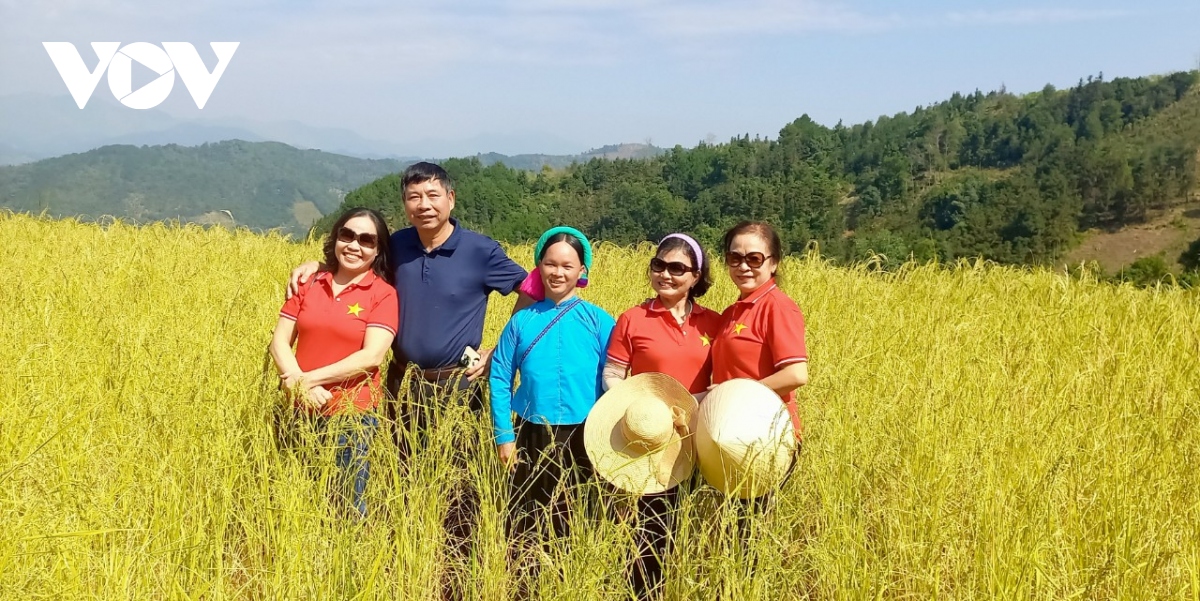 Rộn ràng Bình Liêu (Quảng Ninh) mùa lúa chín - Cục Du lịch Quốc Gia ...