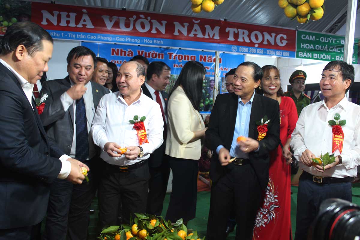 Hòa Bình: Tưng bừng khai mạc Lễ hội Cam Cao Phong lần thứ 7 và Hội chợ thương mại huyện Cao ...