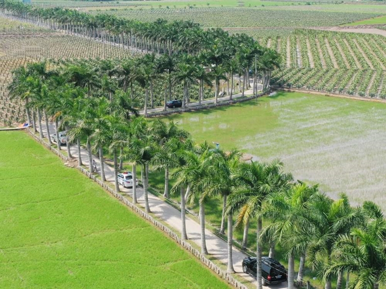 Long An: Đẩy mạnh các hoạt động liên kết vùng trong phát triển du lịch ...