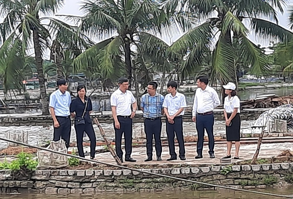 Hải Phòng: Ra mắt Mô hình nông dân làm du lịch điểm tại huyện Thủy ...
