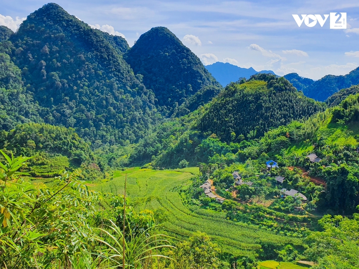 Son Bá Mười - "người đẹp ngủ trong rừng" Pù Luông (Thanh Hóa) - Cục Du ...