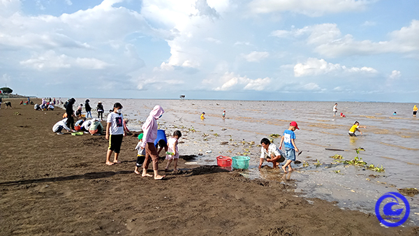 Huyện ven biển Gò Công Đông (Tiền Giang): Nhiều tiềm năng phát triển du ...