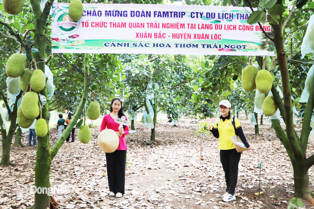 Khảo sát, tọa đàm để kết nối, phát triển du lịch Xuân Lộc, Đồng Nai ...