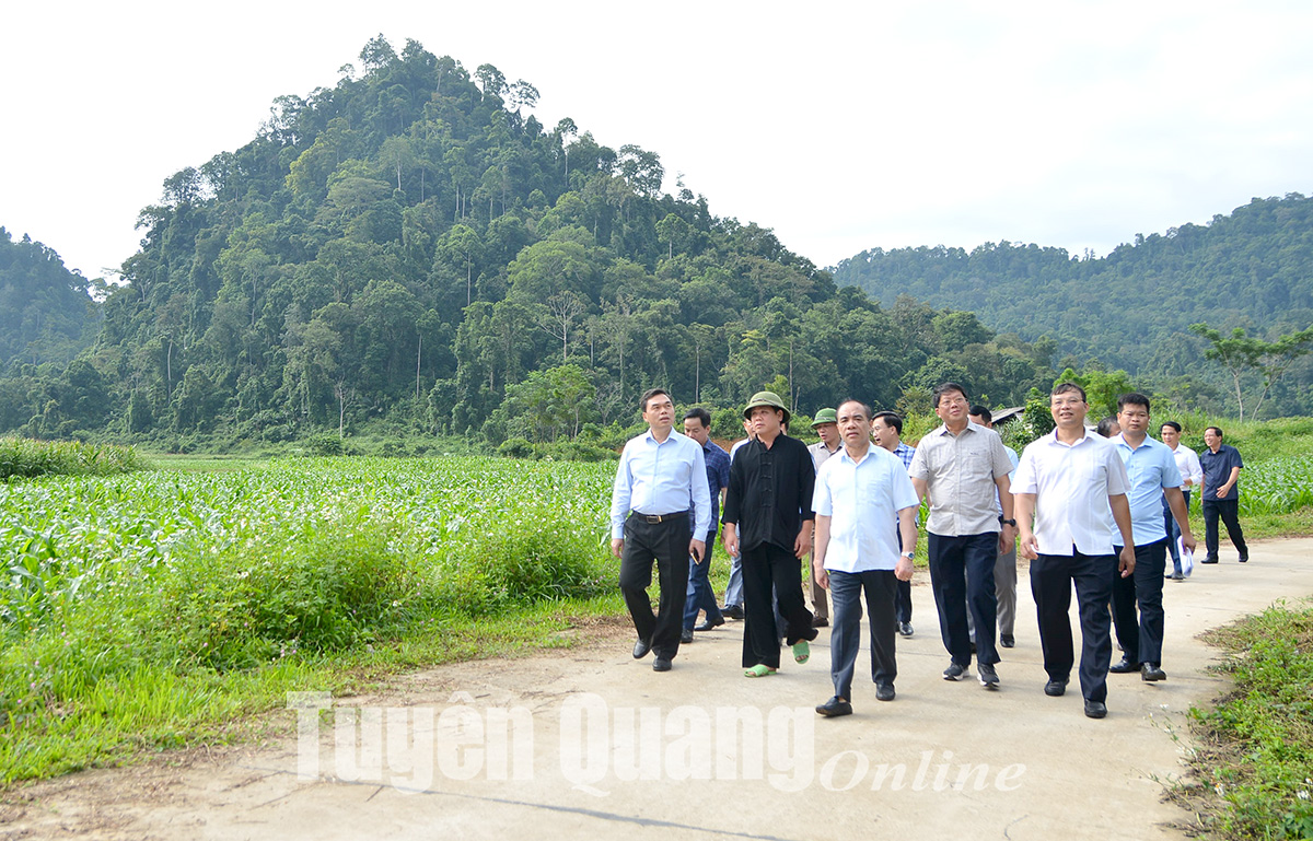 Tuyên Quang: Xây dựng Bản Bung, xã Thanh Tương trở thành điểm du lịch ...