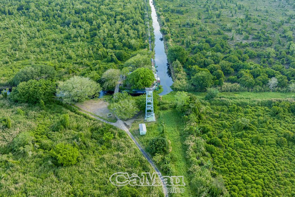 Xanh mát U Minh Hạ, Cà Mau - Cục Du lịch Quốc Gia Việt Nam