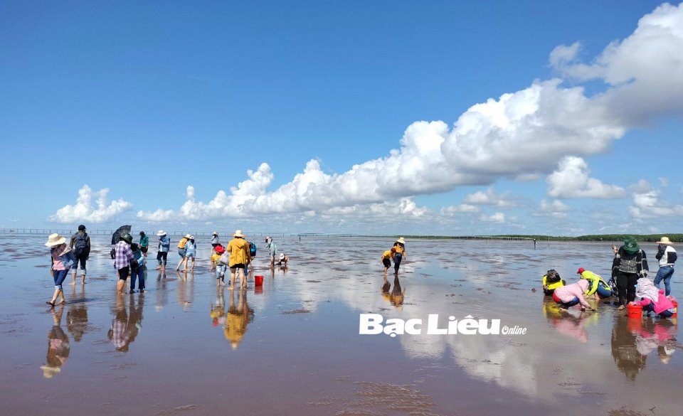 Bạc Liêu: Đón mùa cao điểm du lịch biển - Cục Du lịch Quốc Gia Việt Nam