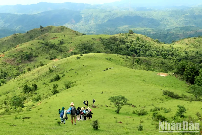 Dã ngoại đồi cỏ Xa Reng đẹp bậc nhất miền tây Quảng Trị - Cục Du lịch ...