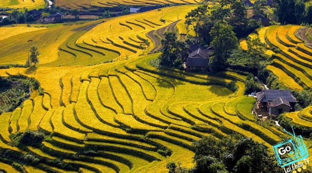 Ruộng bậc thang Lai Châu: Tuyệt tác của thiên nhiên - Cục Du lịch Quốc ...