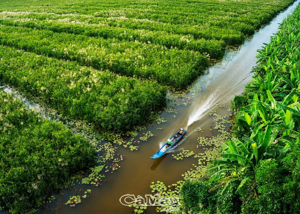 Cà Mau: Huyện U Minh ứng dụng công nghệ số vào du lịch - Cục Du lịch Quốc Gia Việt Nam