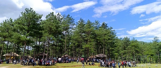 Định vị thương hiệu du lịch Đà Nẵng sau hợp nhất - Cục Du lịch Quốc Gia ...