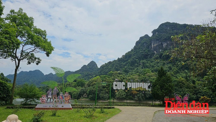 Ninh Bình: Cúc Phương gặt hái quả ngọt từ du lịch xanh - Cục Du lịch ...